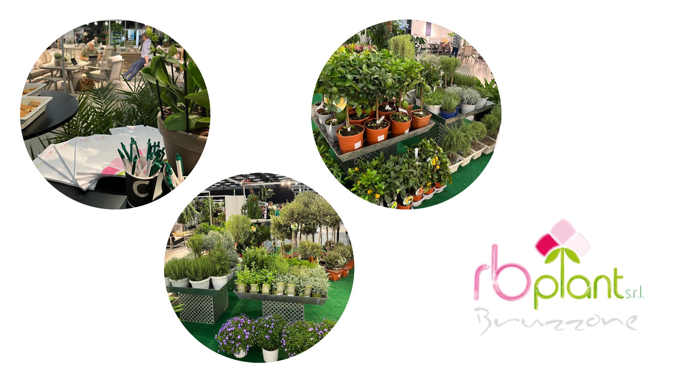 Il team di RB Plant in viaggio per visitare i clienti del Nord Europa ...